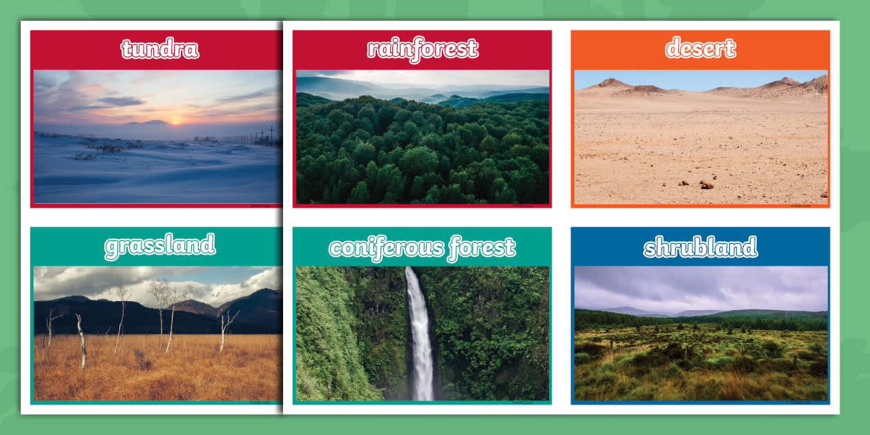 Biomes Photo Flashcards - Geography Twinkl (teacher made)