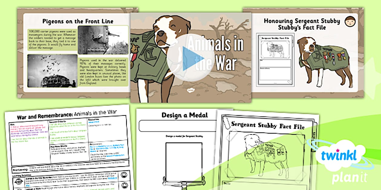 Animals in the War Lesson Pack KS1 | Animals in WW1 - Twinkl