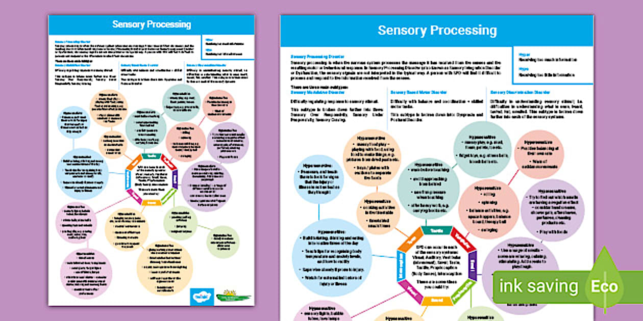 Sensory Processing Guidance for Teachers (teacher made)