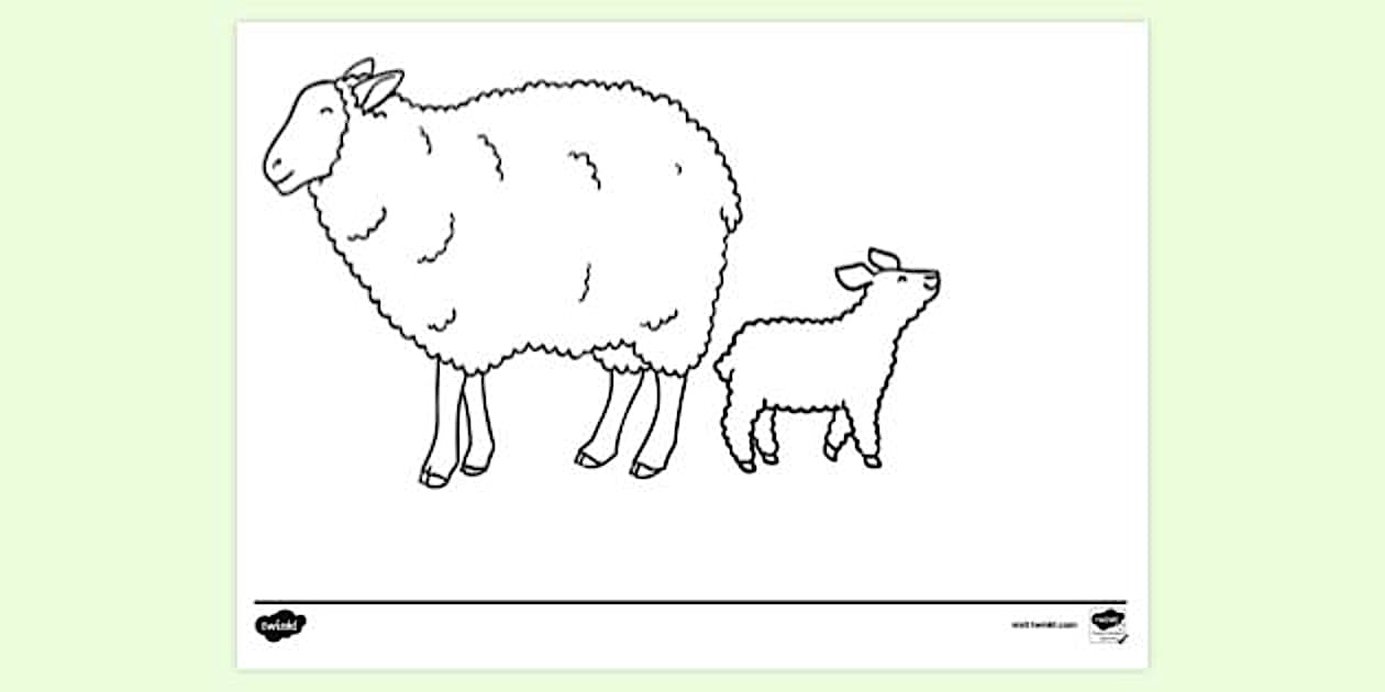 Sheep and Lamb Colouring Page | Colouring Sheets - Twinkl