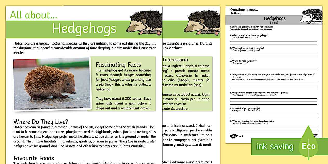 Hedgehogs Reading Comprehension English/Italian - Hedgehogs Reading
