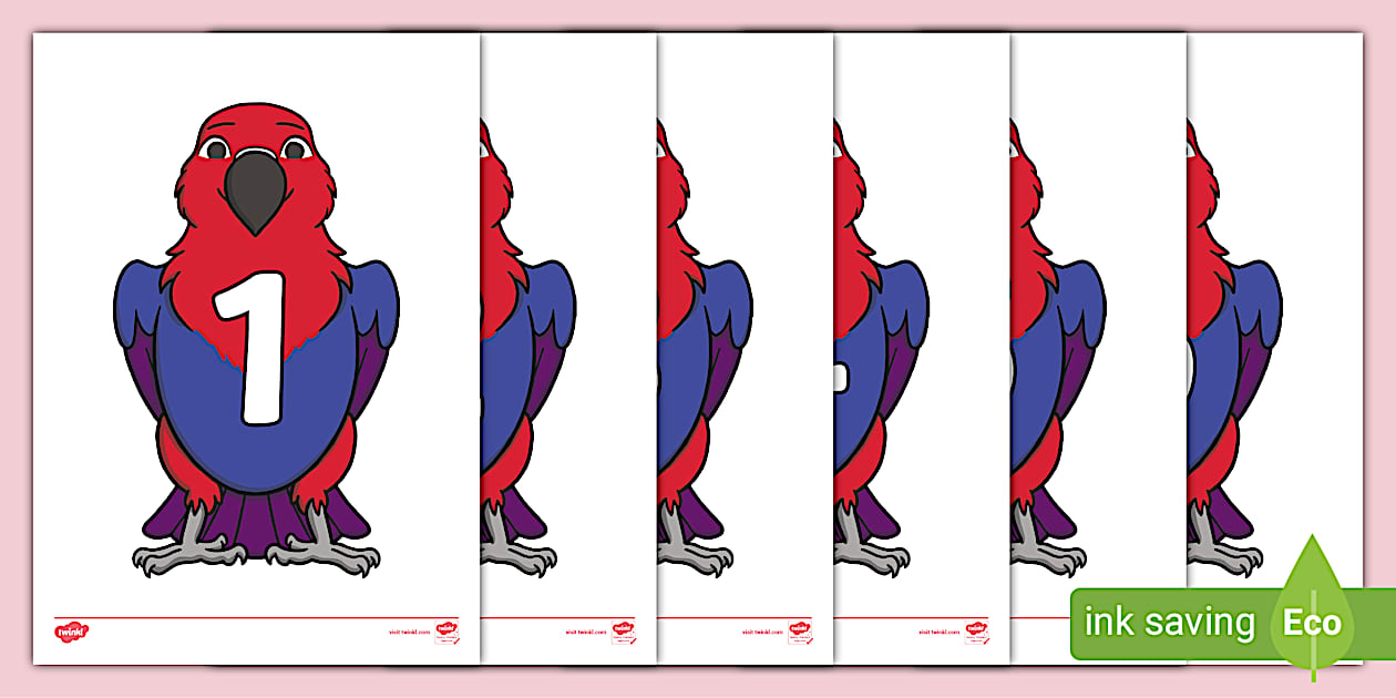 Parrot Themed Numbers 020 Number Cards - - Twinkl