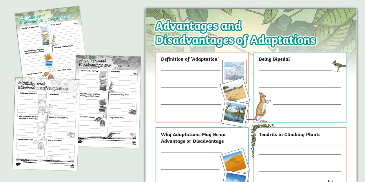 * NEW * Advantages and Disadvantages of Adaptations Fact Template