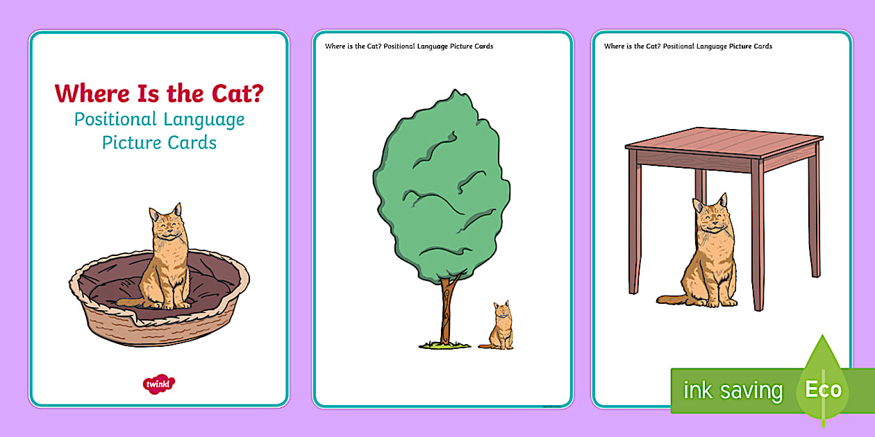 Where is the Cat? Positional Language Picture Cards - Twinkl