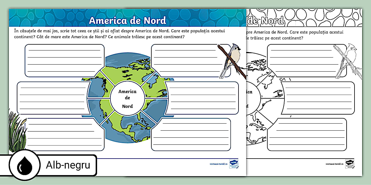 America de Nord – Hartă mentală (teacher made) - Twinkl