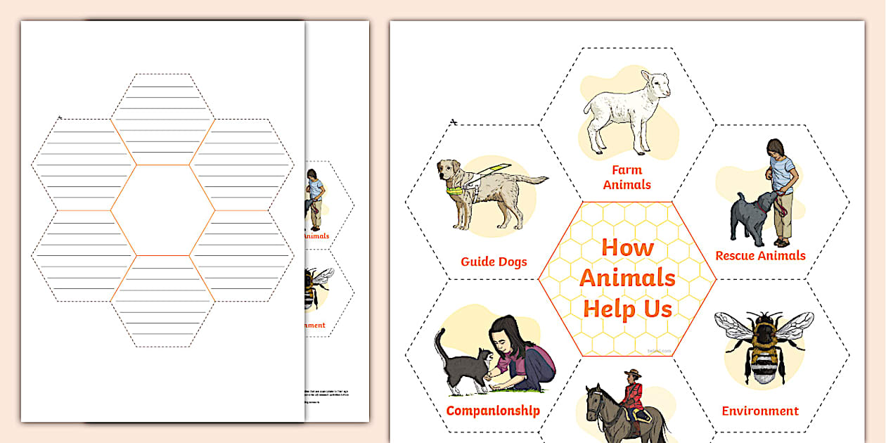 How Animals Help Us Hexagon Writing Template (Teacher-Made)