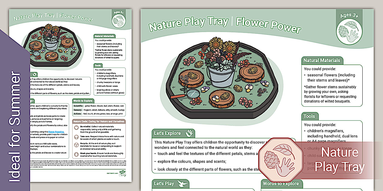 EYFS Flower Power Large Tray Activity - Outdoor Learning