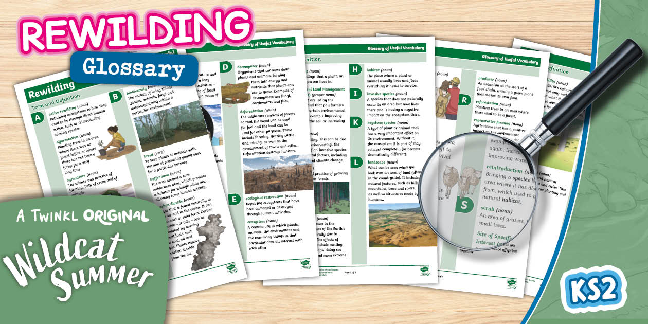 Rewilding: KS2 Glossary of Useful Vocabulary - Twinkl