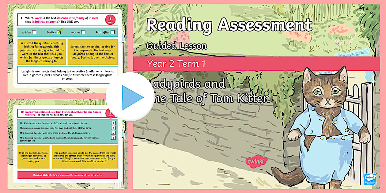 Year 2 Term 1 Paper 1 Reading Assessment Guided Lesson PowerPoint
