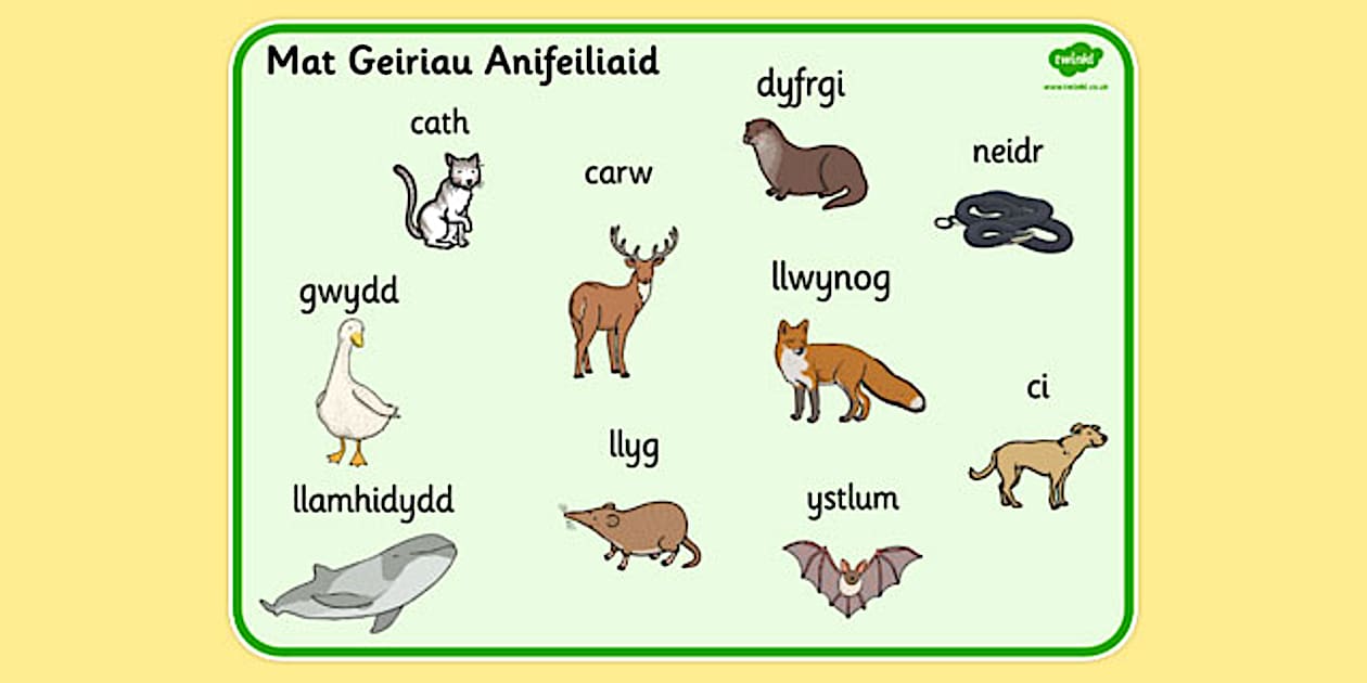 Editable Animals Word Mat Welsh (teacher made) - Twinkl