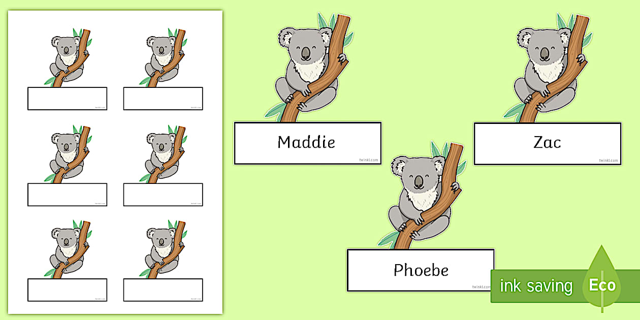 👉 Editable Koala Self Registration Labels (teacher made)