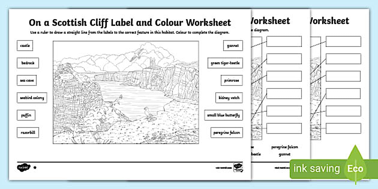 Scottish Cliff Labelling Worksheet | CfE Resources - Twinkl
