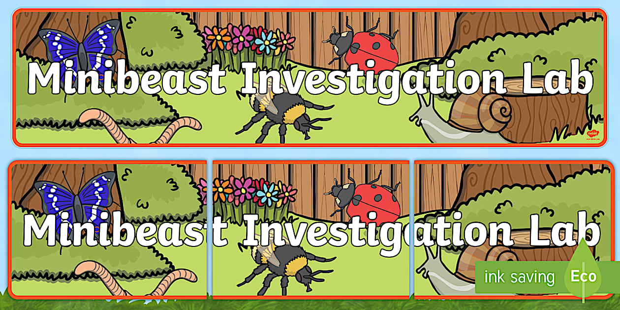Minibeasts Investigation Lab Role Play Display Banner