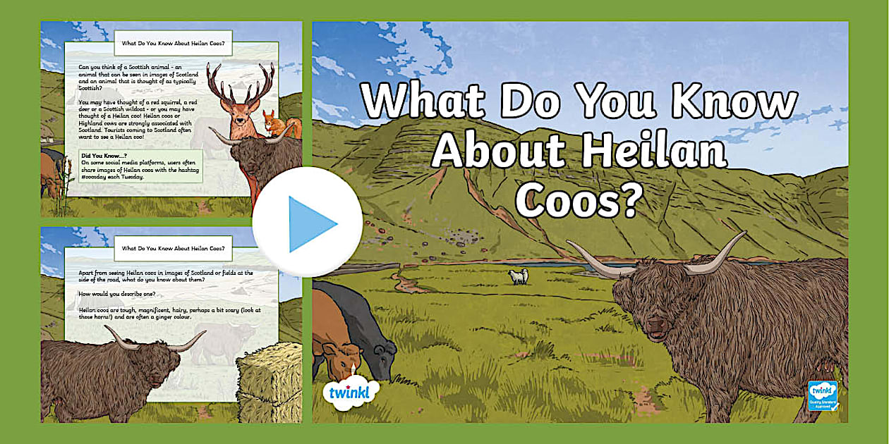 What Do You Know About Heilan Coos? PowerPoint Presentation