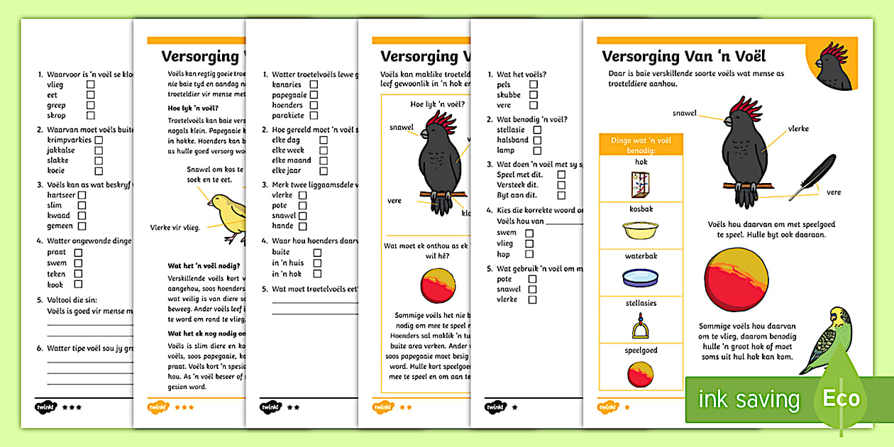 Black and White Versorging Van 'n Voel Gedifferensieerde Begripslees