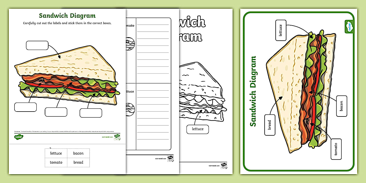 Label a Sandwich Diagram Activity Pack (Teacher-Made)
