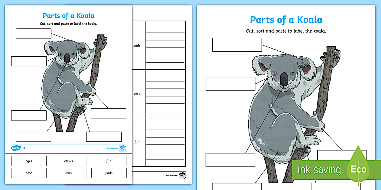 Black and White Parts of a Koala Worksheets - Twinkl