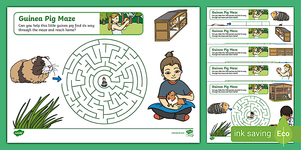 Guinea Pig Themed Maze Activity Worksheets (teacher made)