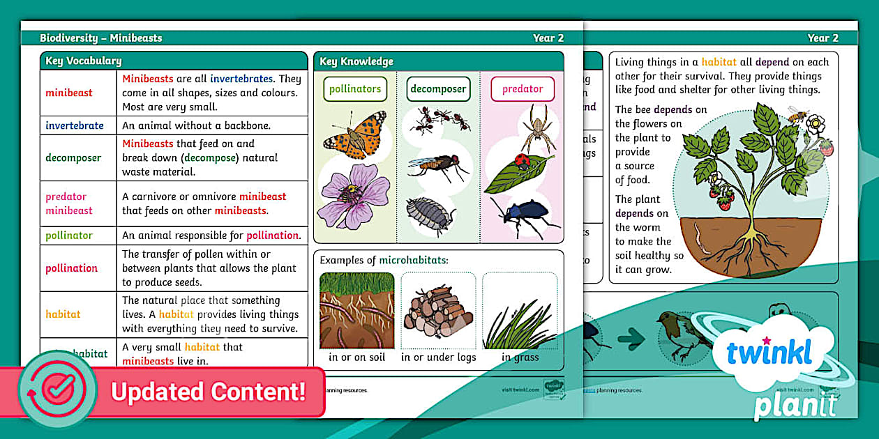 KS1 Minibeasts Knowledge Organiser | Year 2 | Science