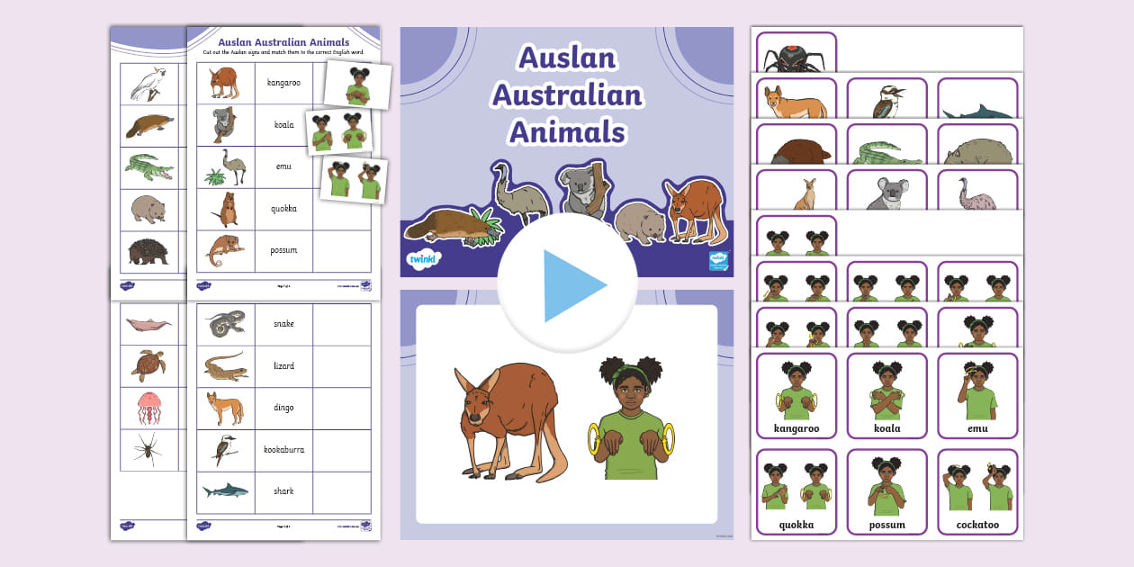 Auslan Australian Animals Pack (teacher made) - Twinkl