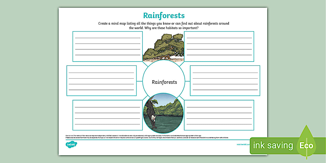 Rainforests Mind Map,rainforests (Teacher-Made) - Twinkl