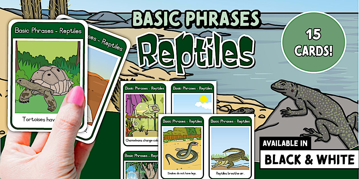 Grade R English - Basic Phrases : Reptiles (CAPS Aligned)