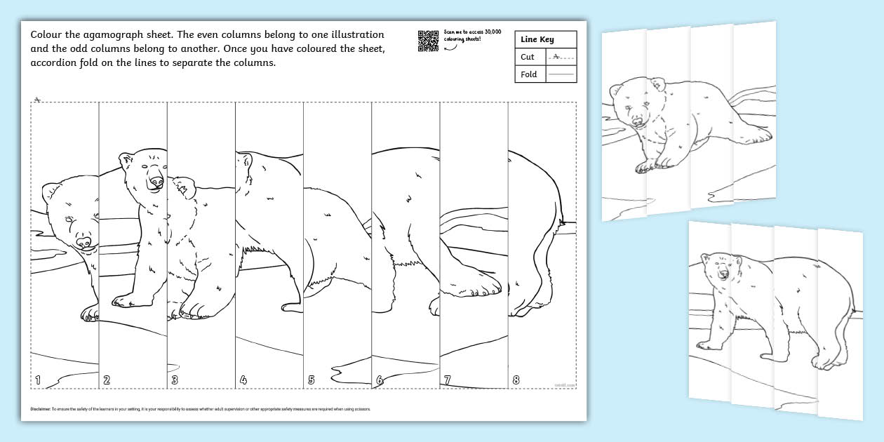 Polar Bear Agamograph Twinkl Art Science (Teacher-Made)