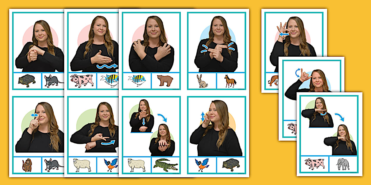ASL Animals Clip Cards (teacher made) - Twinkl