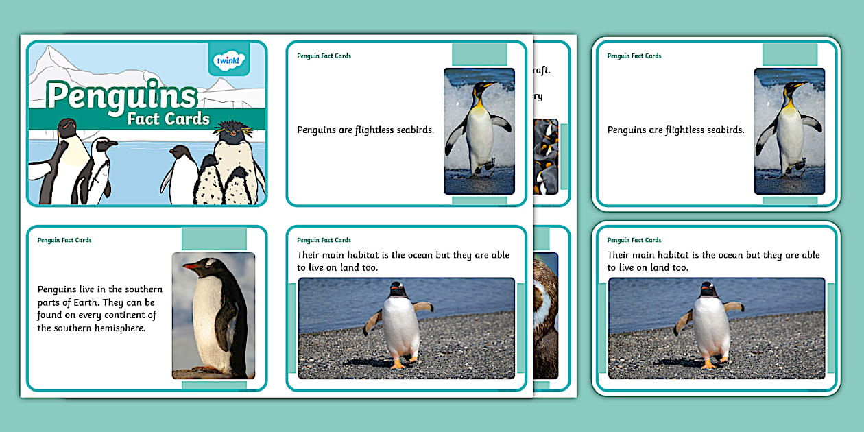 Penguin Fact Cards - KS1 - Twinkl