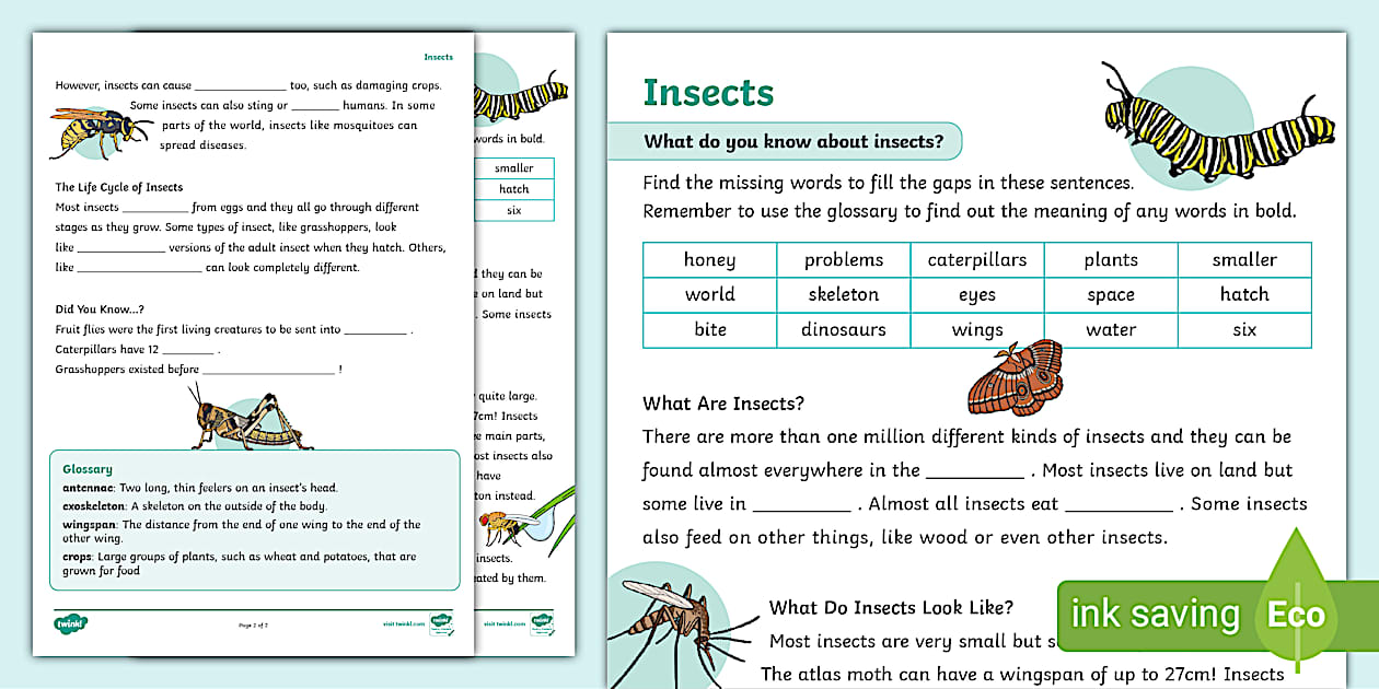 Insects Cloze Activity (teacher made) - Twinkl