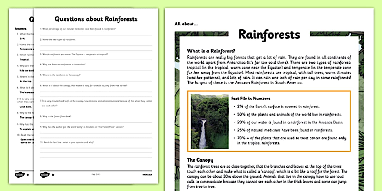Year 5-6 Rainforests Differentiated Reading Comprehension
