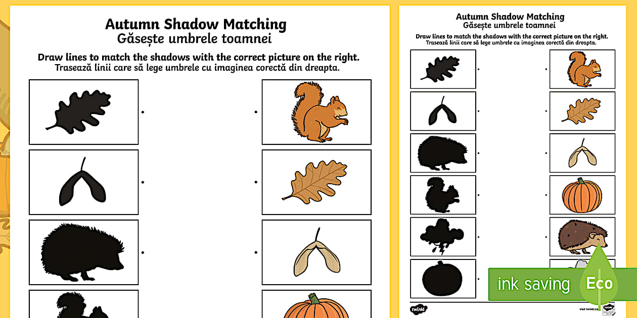 Autumn Shadow Matching Worksheet / Worksheet English/Romanian - Autumn ...