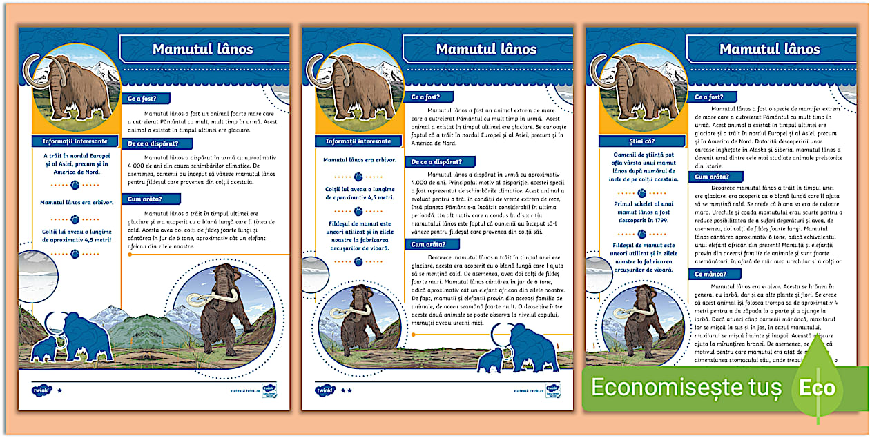 Mamutul lânos – Fișe informative (Teacher-Made) - Twinkl