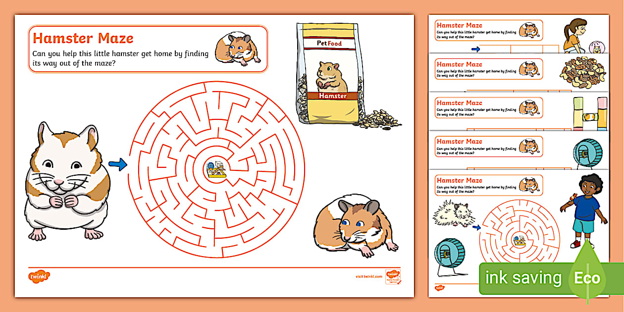 Hamster Maze Activity Worksheets (teacher made) - Twinkl