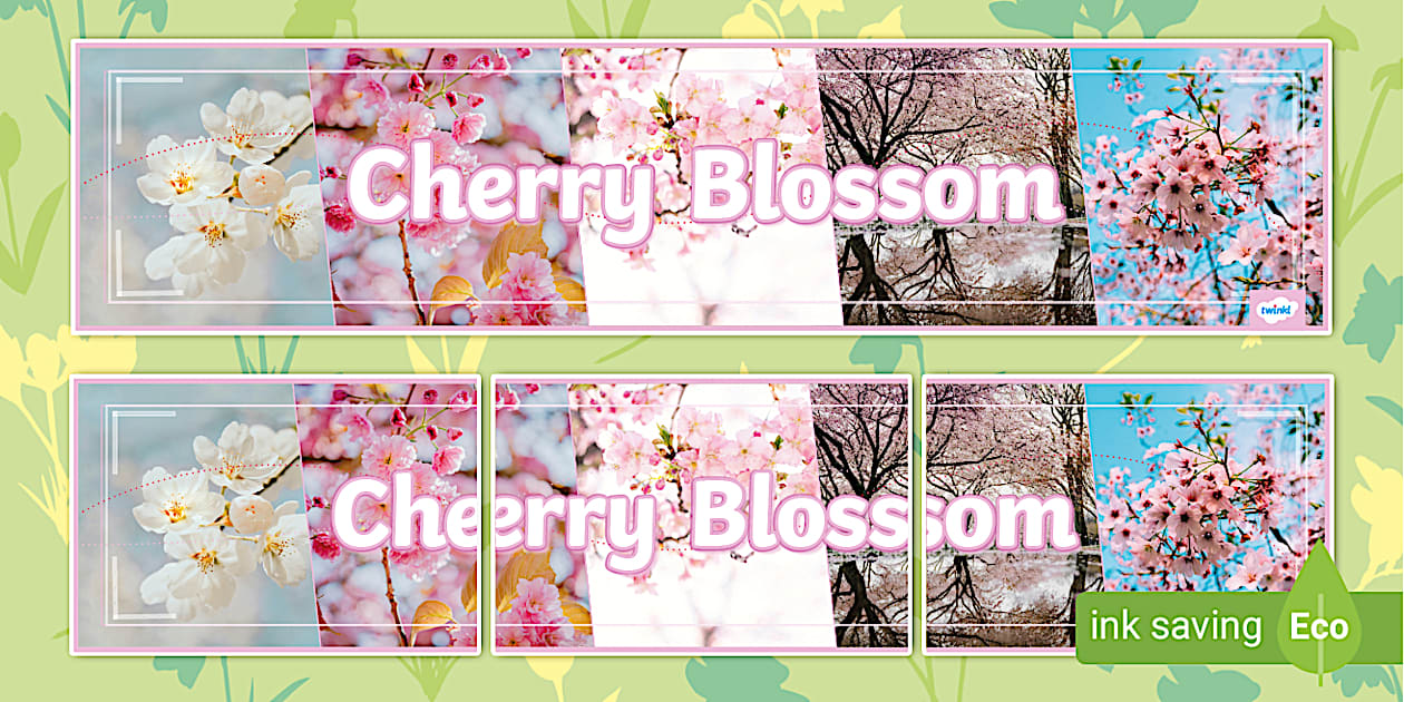 Cherry Blossom Photo Banner (teacher made) - Twinkl
