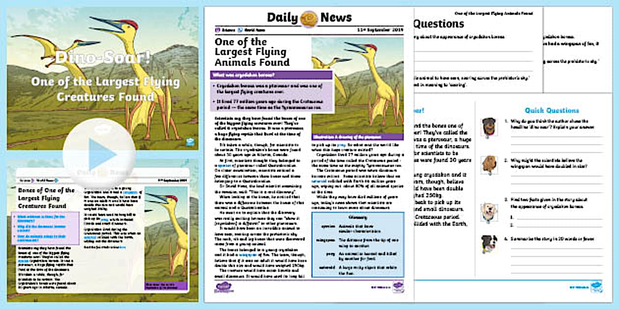 Dino-saurs Reading Comprehension | Twinkl NewsRoom - Twinkl