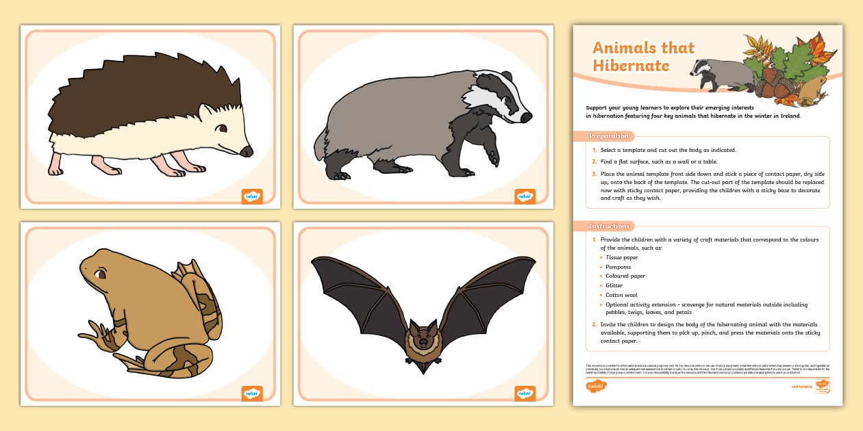 Animals that Hibernate - Craft Activity (teacher made)