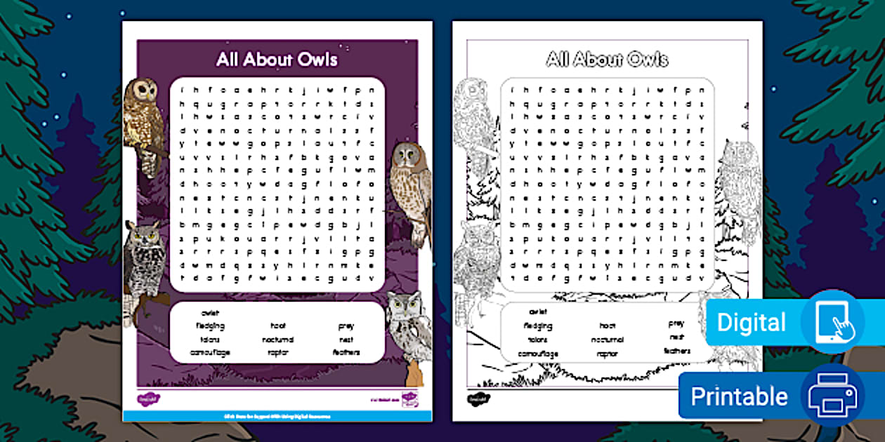 All About Owls Word Search for K-2nd Grade (teacher made)