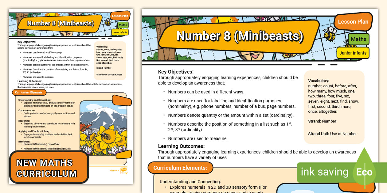 Number 8 (Minibeasts) Lesson Plan (Teacher-Made) - Twinkl
