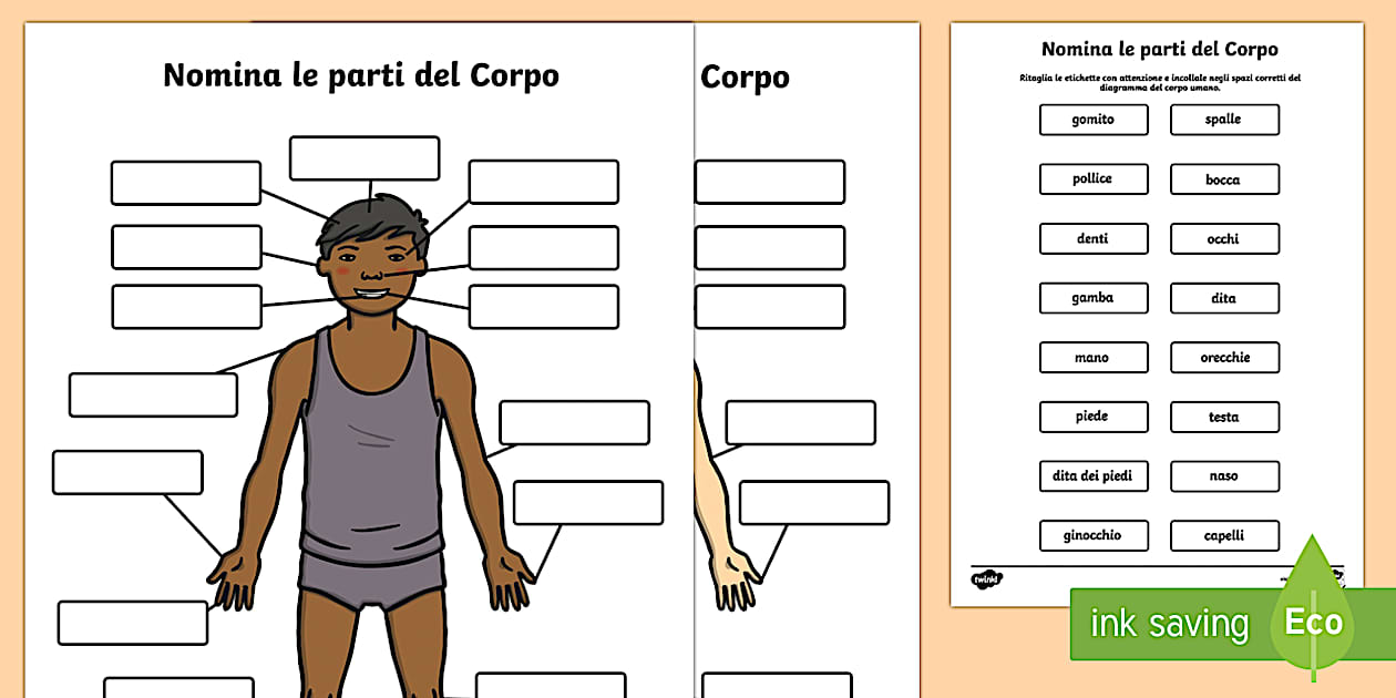 Nomina le Parti del Corpo Attività (teacher made) - Twinkl