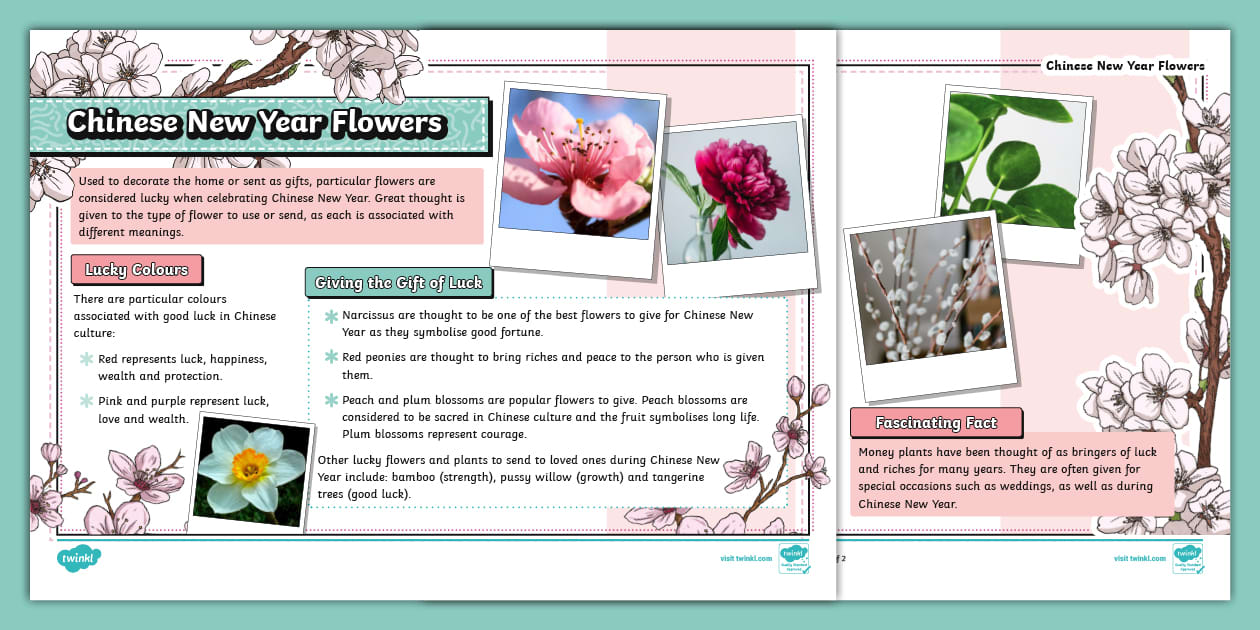 KS2 Chinese New Year Flowers Fact File - Twinkl