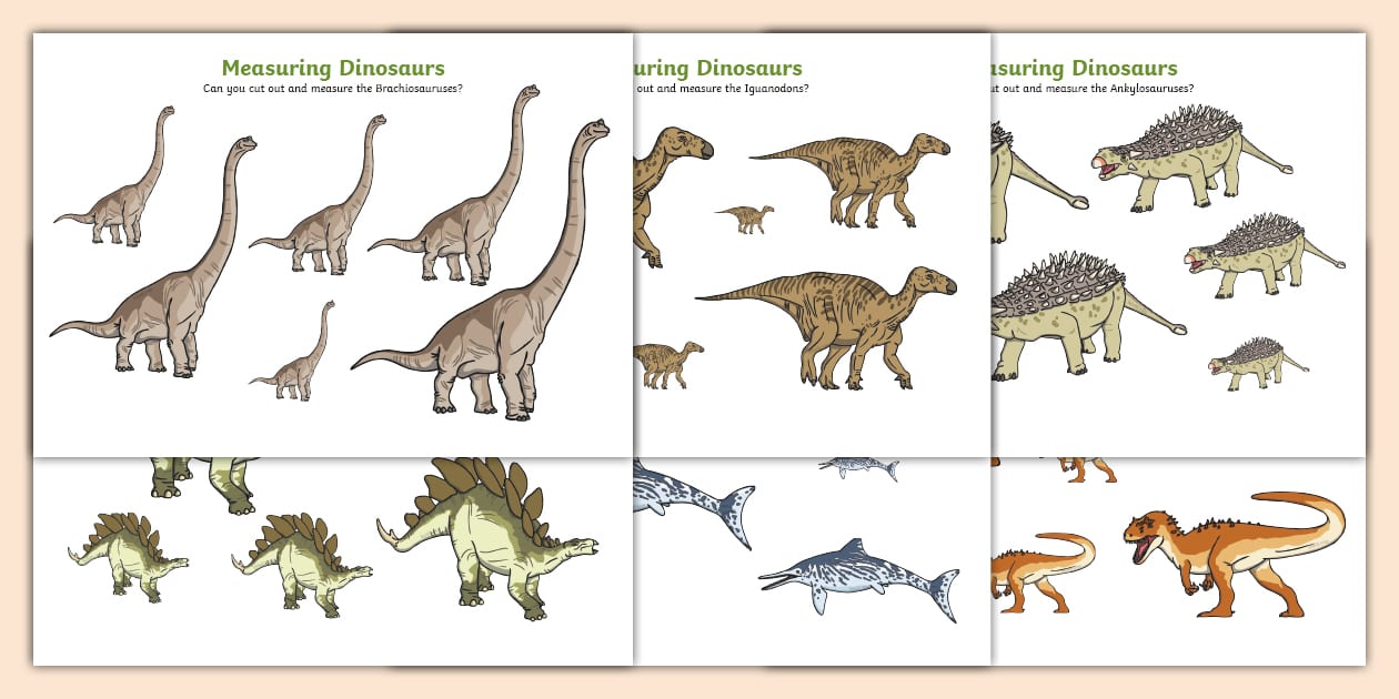 Measuring Dinosaurs Activity (teacher made) - Twinkl