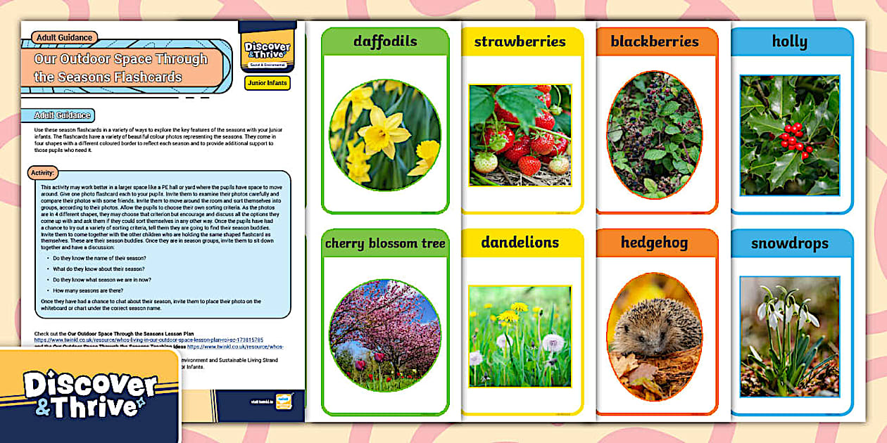 Who's Living in Our Outdoor Space? Season Flashcards