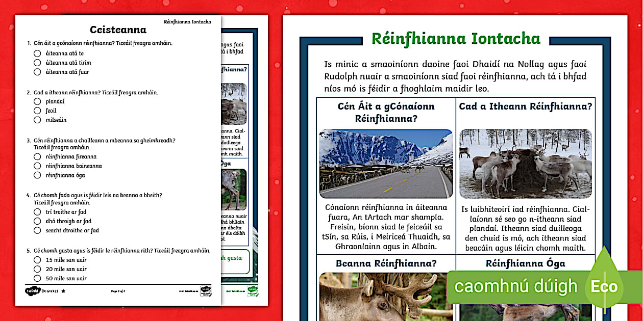 Remarkable Reindeer Reading Comprehension Gaeilge - Twinkl