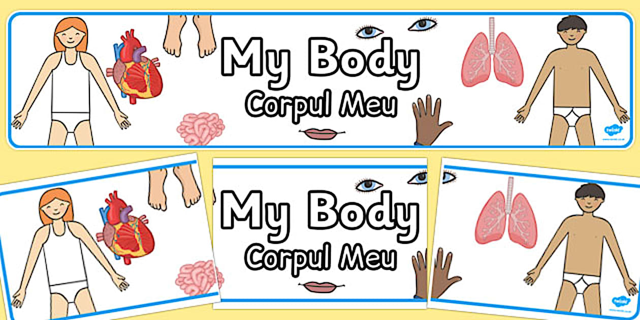 👉 My Body Banner Romanian Translation (teacher made)
