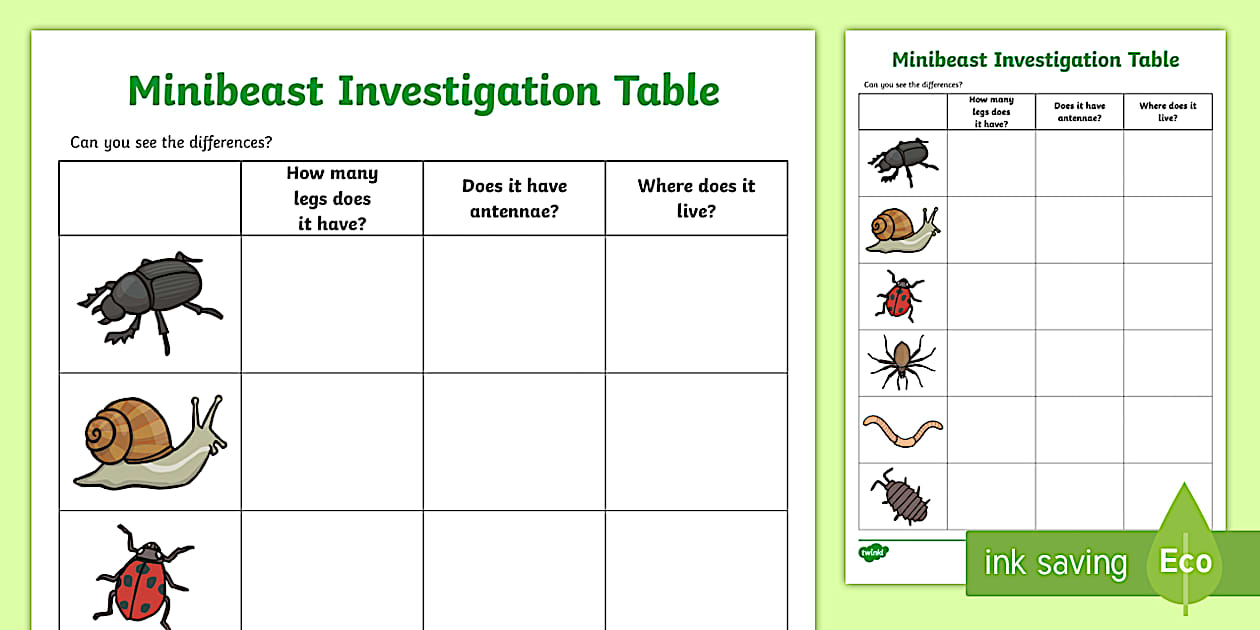 Minibeast Investigation Table (teacher made) - Twinkl
