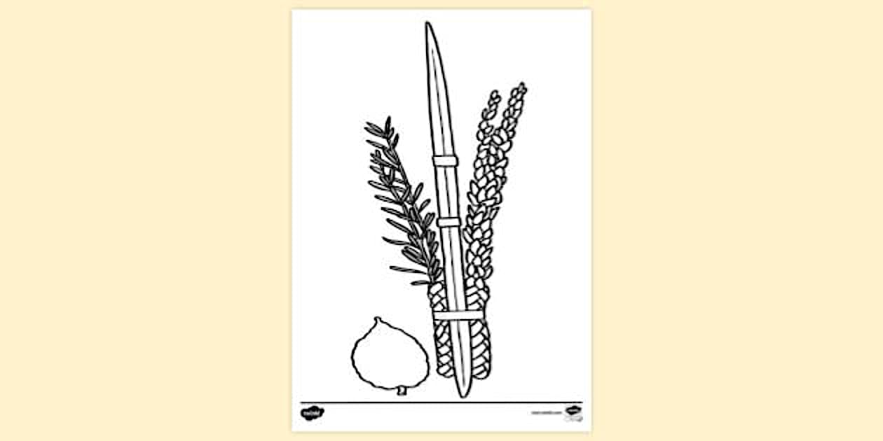 lulav colouring | Colouring Sheets (teacher made) - Twinkl