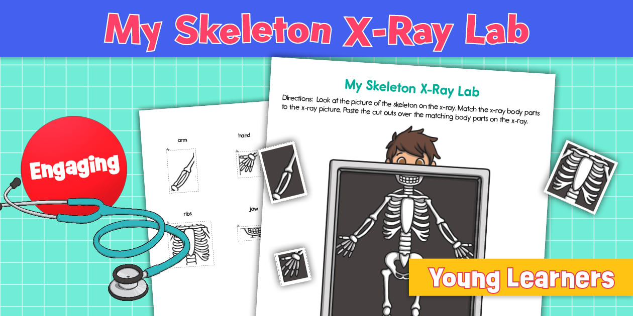 My Skeleton X-Ray Lab Cut and Paste (teacher made) - Twinkl