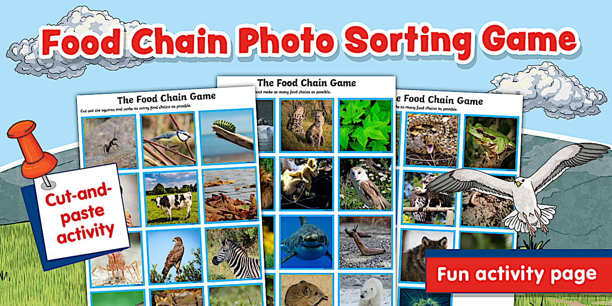 Food Chain Sorting Game - Year 4 - Biology