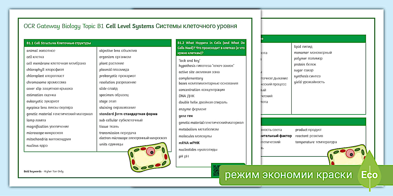 OCR Gateway Biology Cell Level Systems Word Mat Russian English